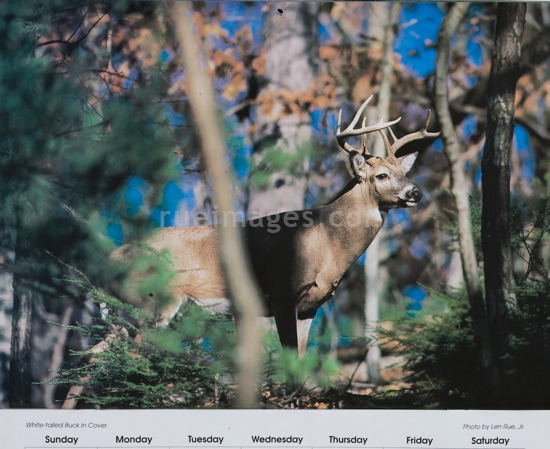 Published Work: Calendars | Portfolio of Published Photographs by Len ...